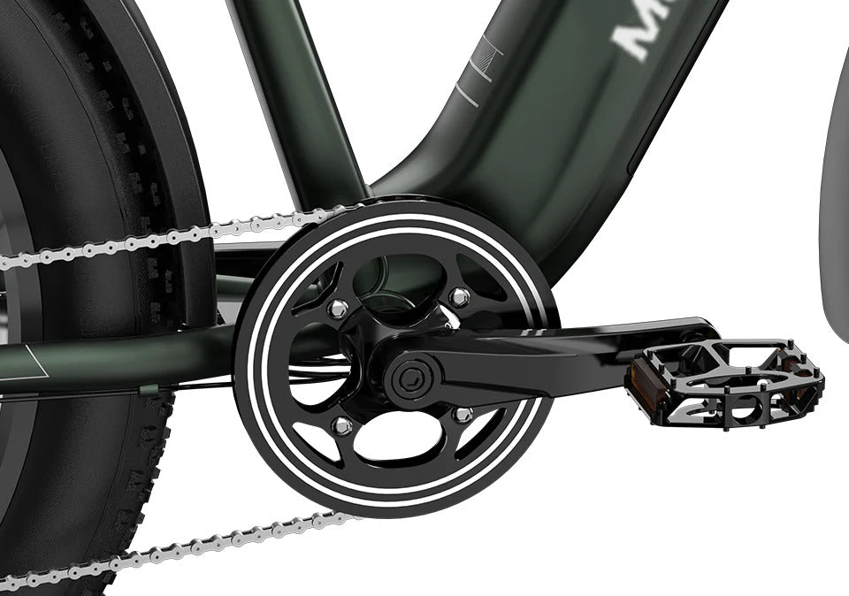 Mokwheel Tor Plus Electric Bike | Electric Fat Tire Mountain Bike – E ...